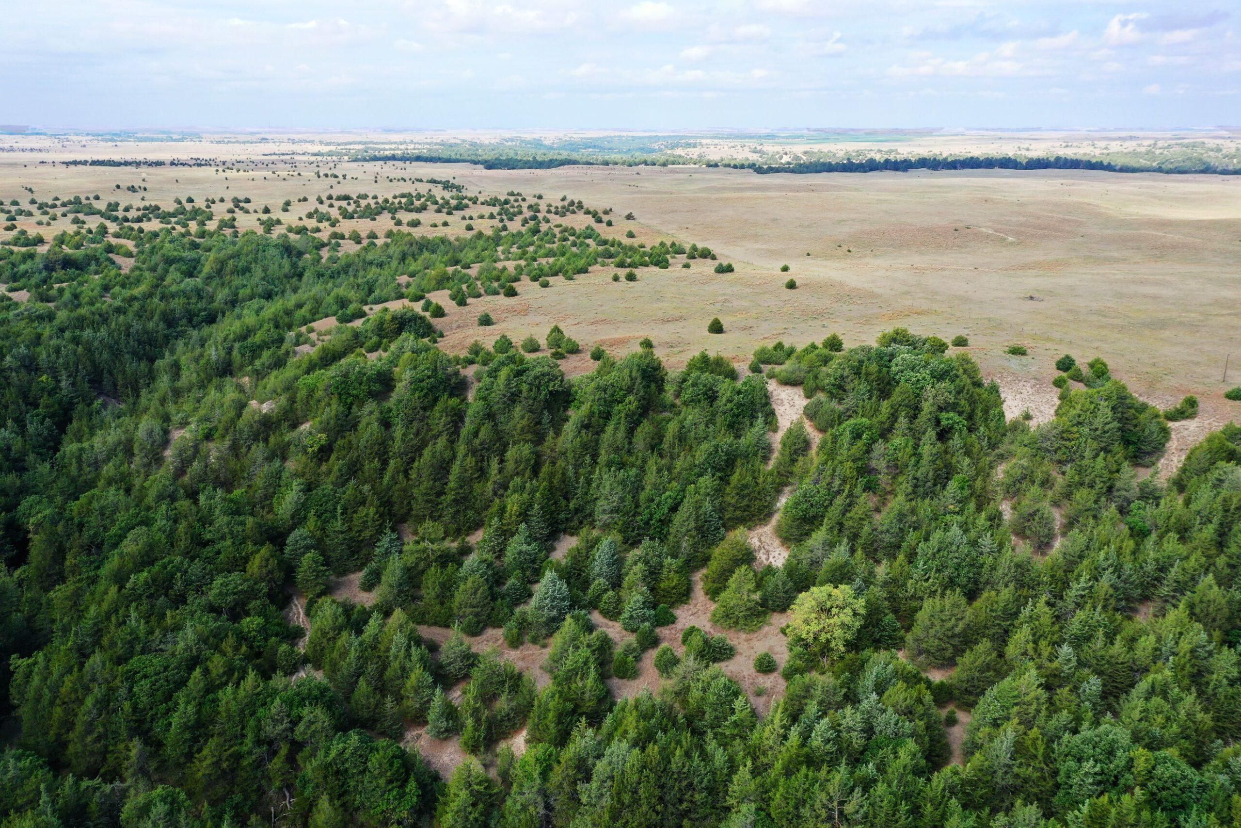 1,138.2 acres in Brown County, Nebraska