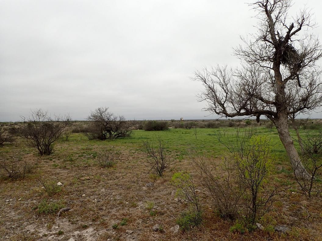 223.65 acres in Terrell County, Texas