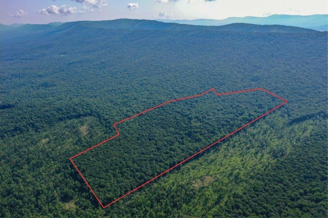 77.3 acres in Rockingham County, Virginia