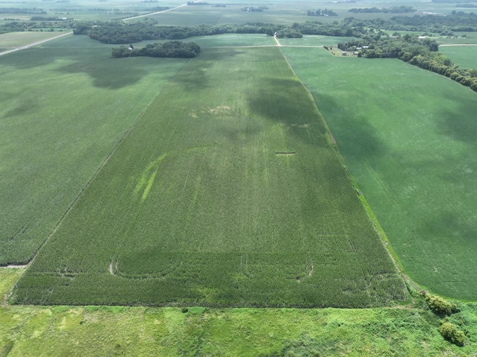 190th Street, Northrop, MN 56075 | Land.com