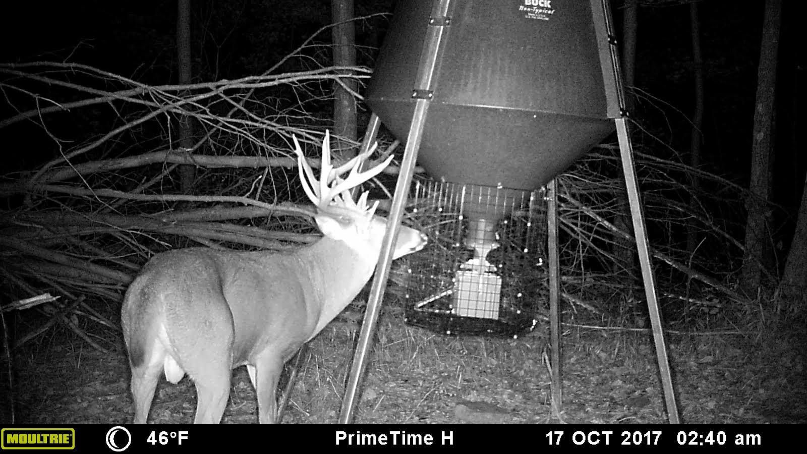 45.25 acres in Adams County, Ohio