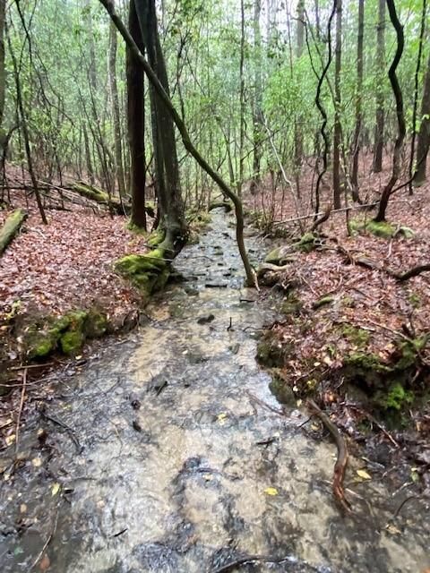 2.89 acres in Forest City, NC, 28043 | Land.com