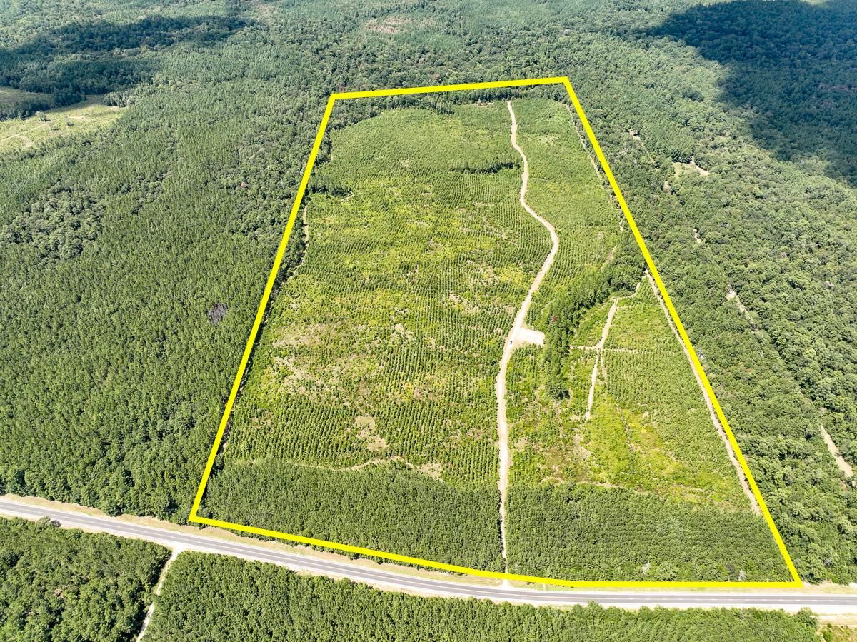 0 FM 943, Kountze, TX 77625 | MLS: https://homelandprop.com/properties ...