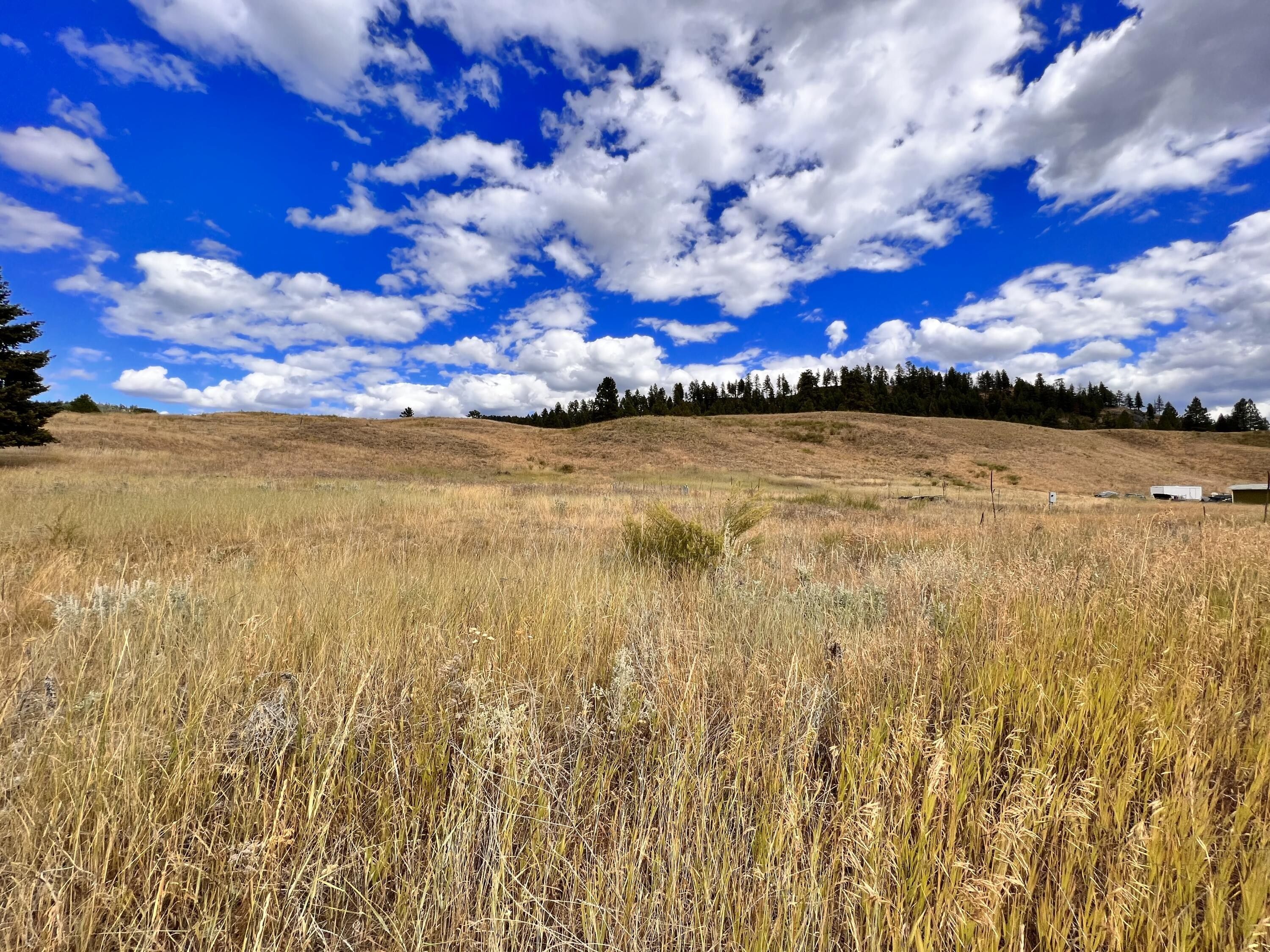 2.03 acres in Ferry County, Washington
