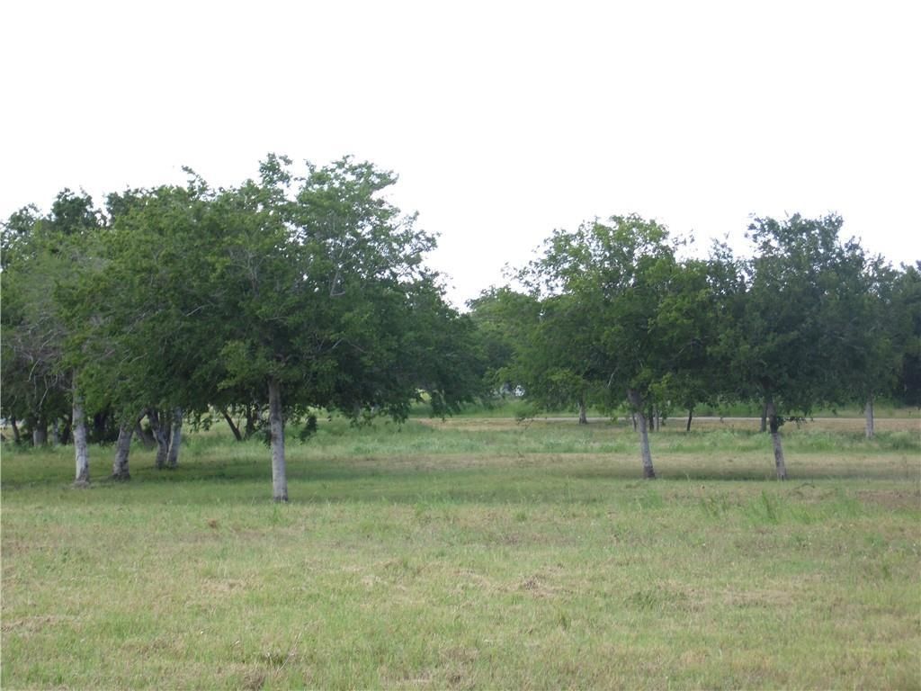 21088 Donegal Road, Mathis, TX 78368 | MLS: 420219 | Land.com