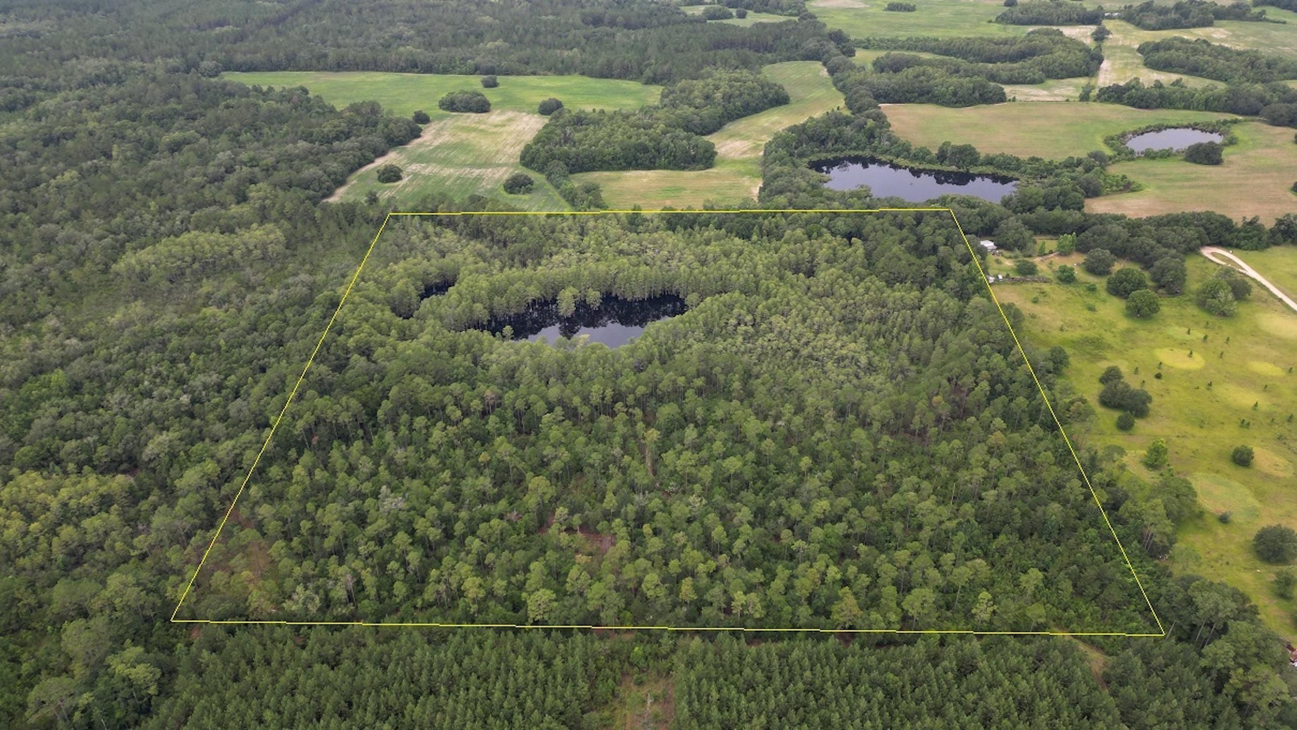 Vacant Land - No Physical Address, Lot#WP001, Vernon, FL 32462 | MLS ...