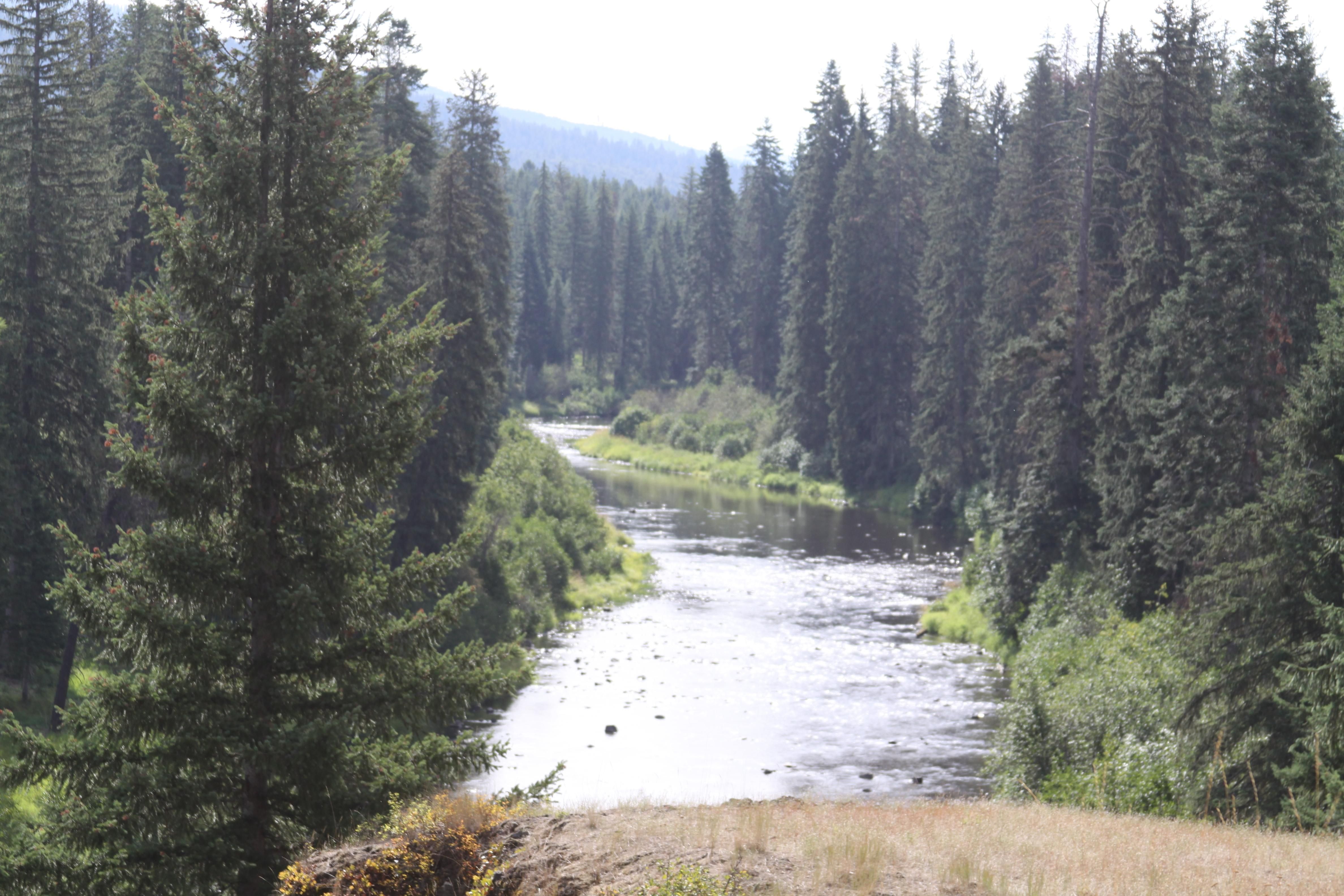 1382 Copperhead Ln, Santa, ID 83866 | Land.com