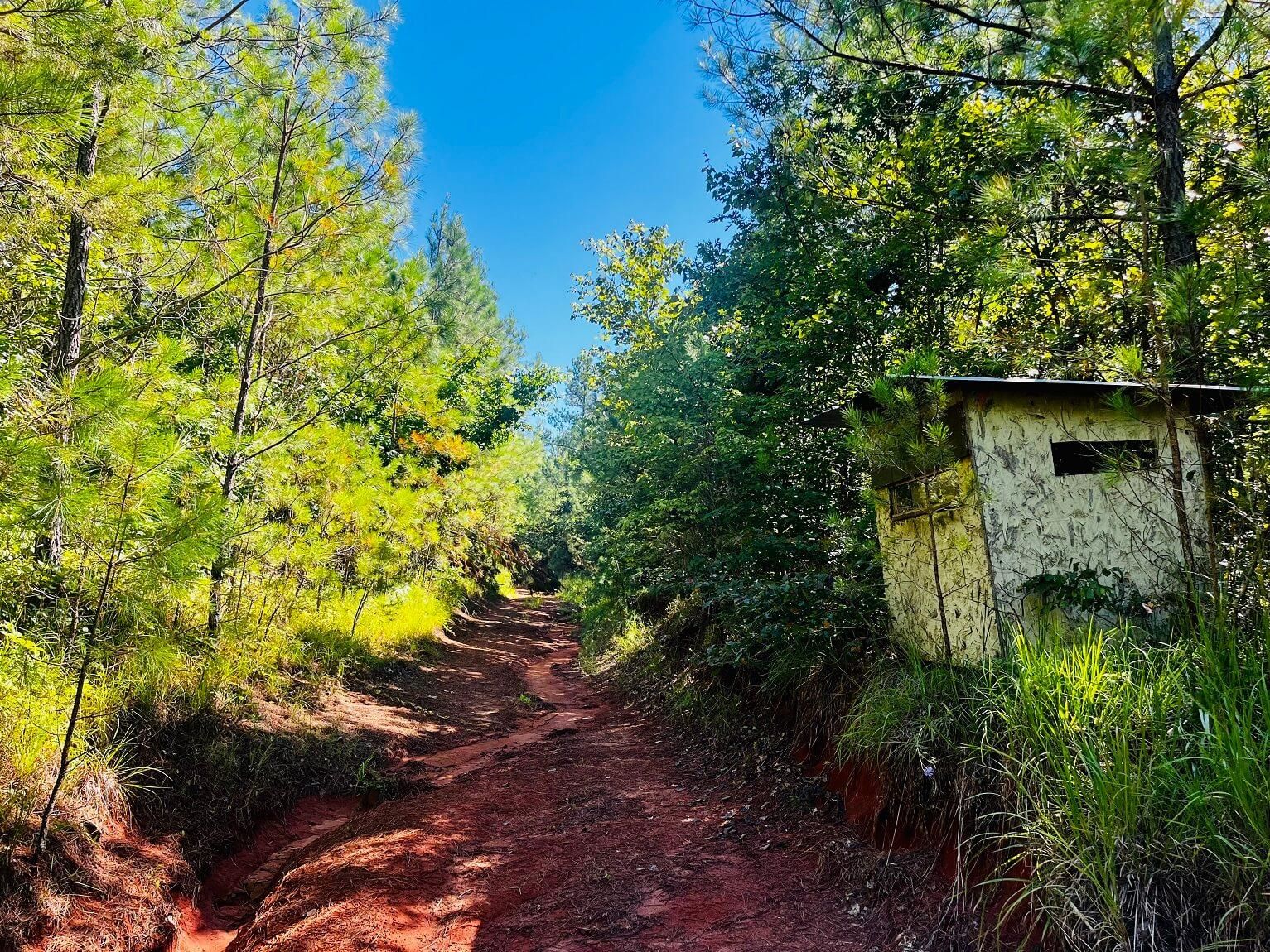 County Road 330, Baldwyn, MS 38824 | MLS: 23-2815 | Land.com