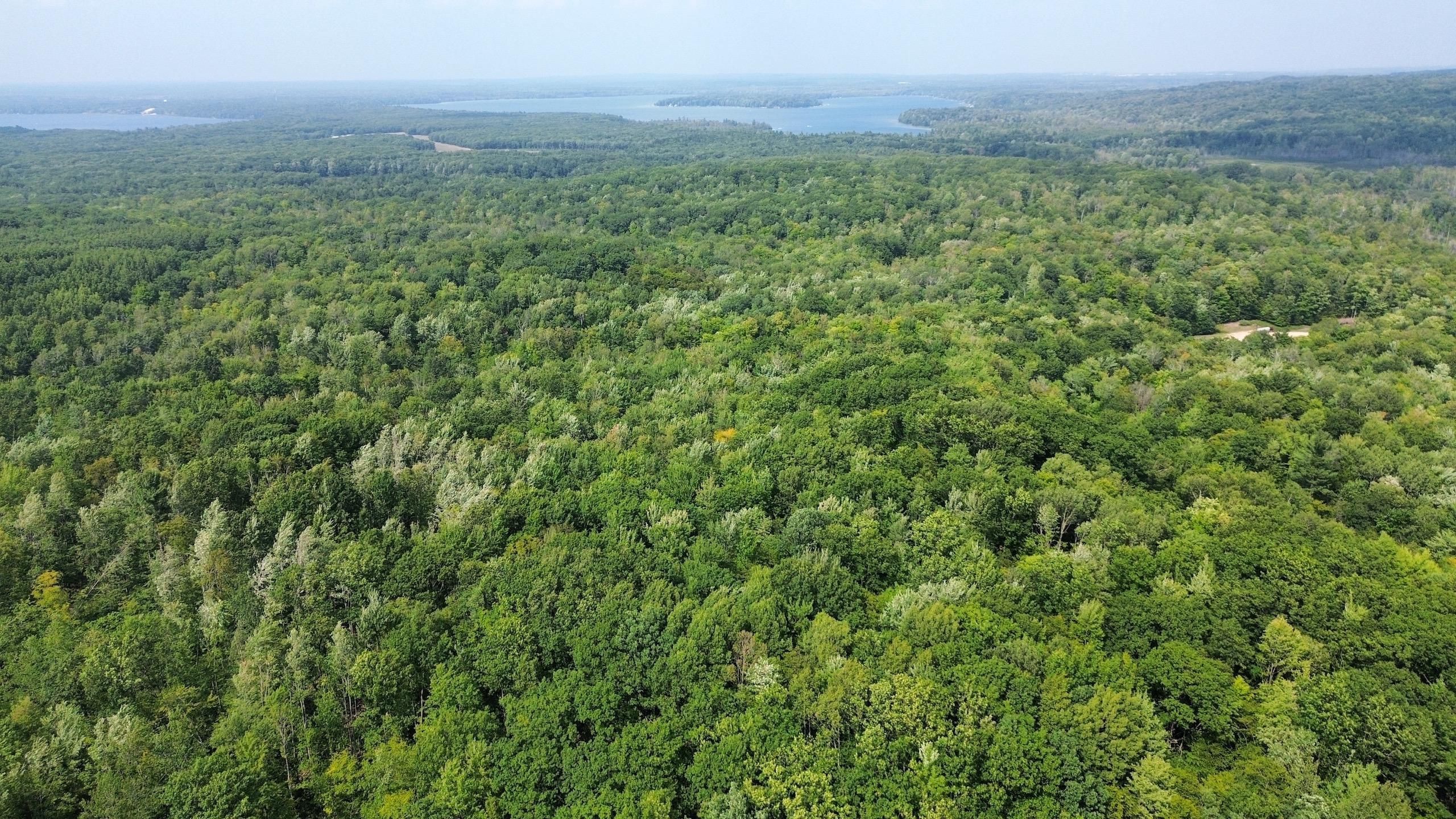 State Park Highway, Lot# WP001, Grawn, MI 49637 | Land.com