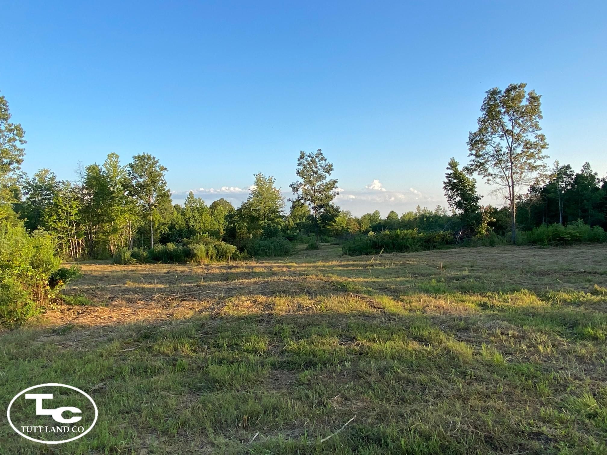 86 acres in Blountsville, AL, 35031 | MLS: 86 +/- Acres - Blount County ...