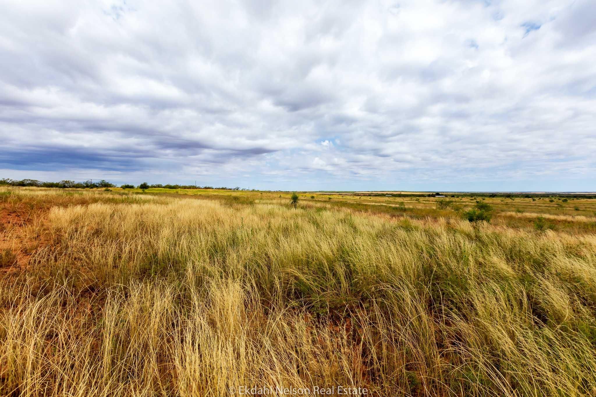 County Road 106, Roby, TX 79543 | Land.com