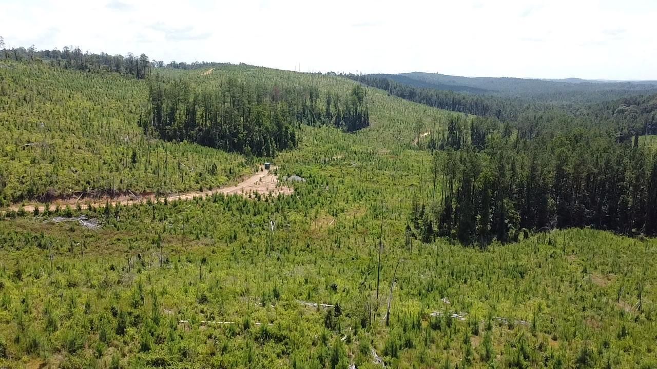 HIGHLAND RD, Elrod, AL 35458 | Land.com