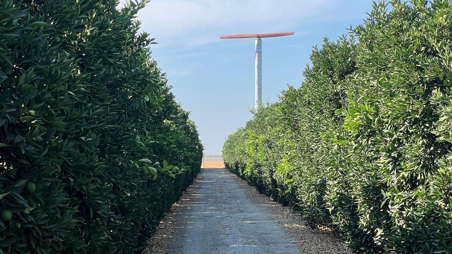 19.7 acres in Plainview, CA, 93267 | Land.com