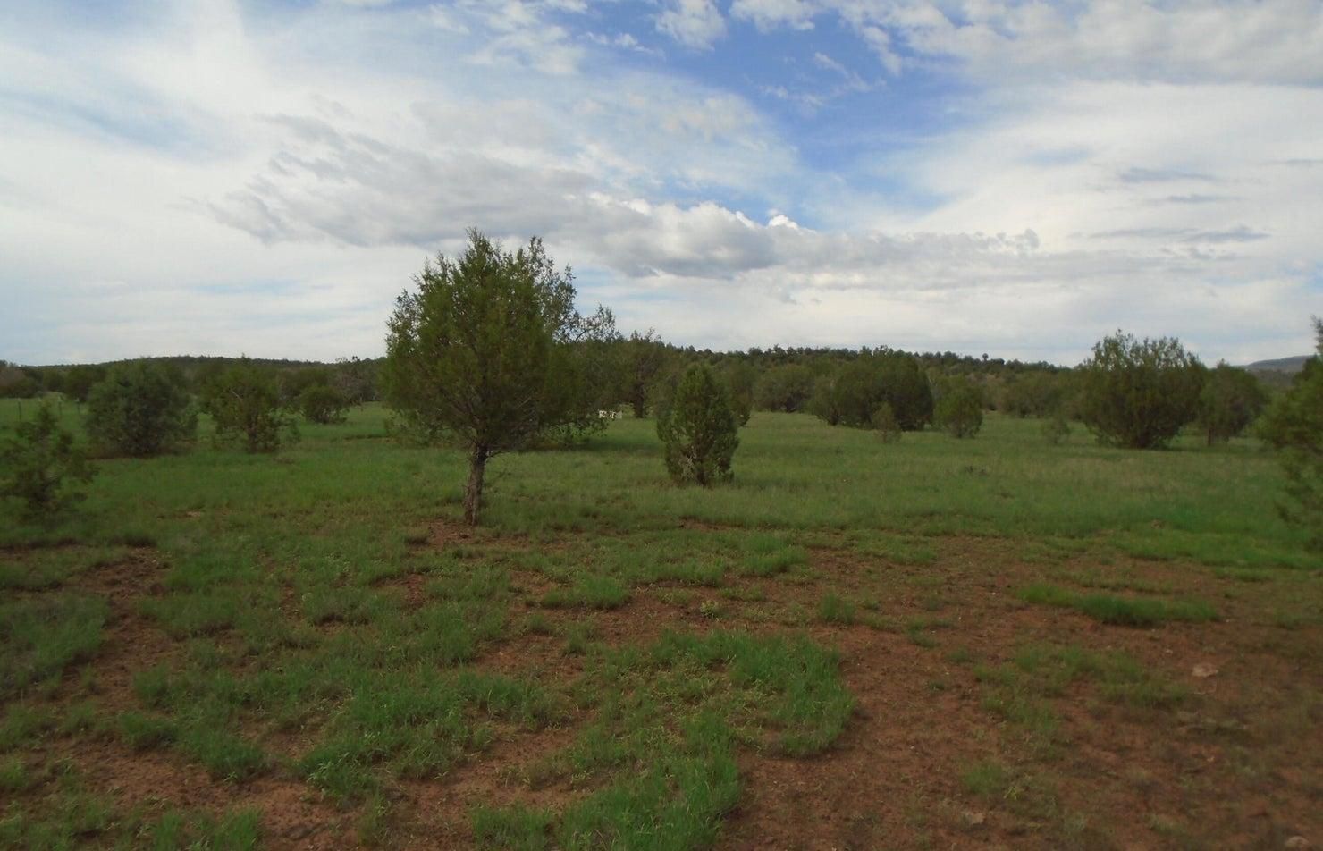 10 acres in Coconino County, Arizona