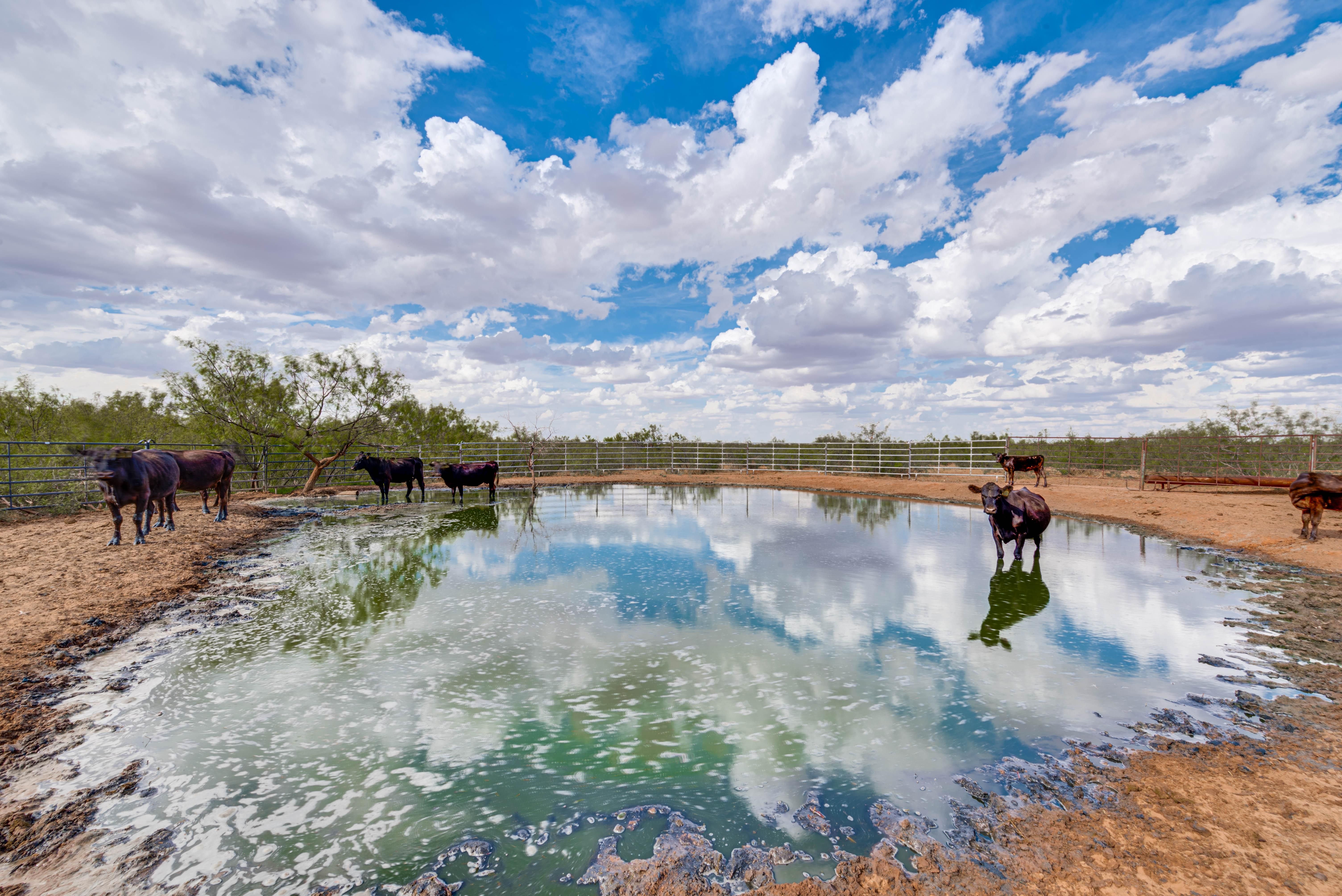 338 acres in Midland, TX, 79706 | Land.com