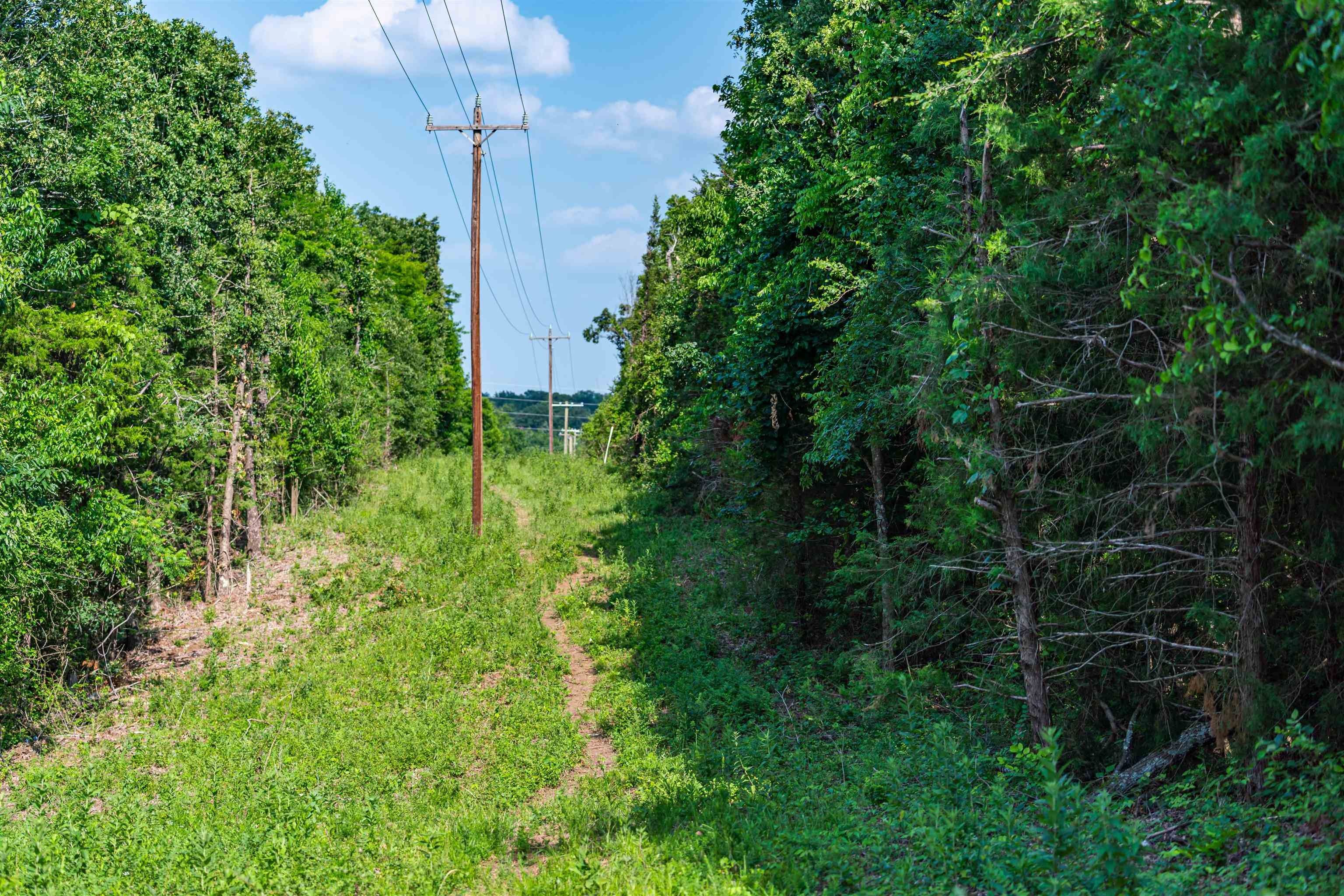 250 acres in Fannin County, Texas
