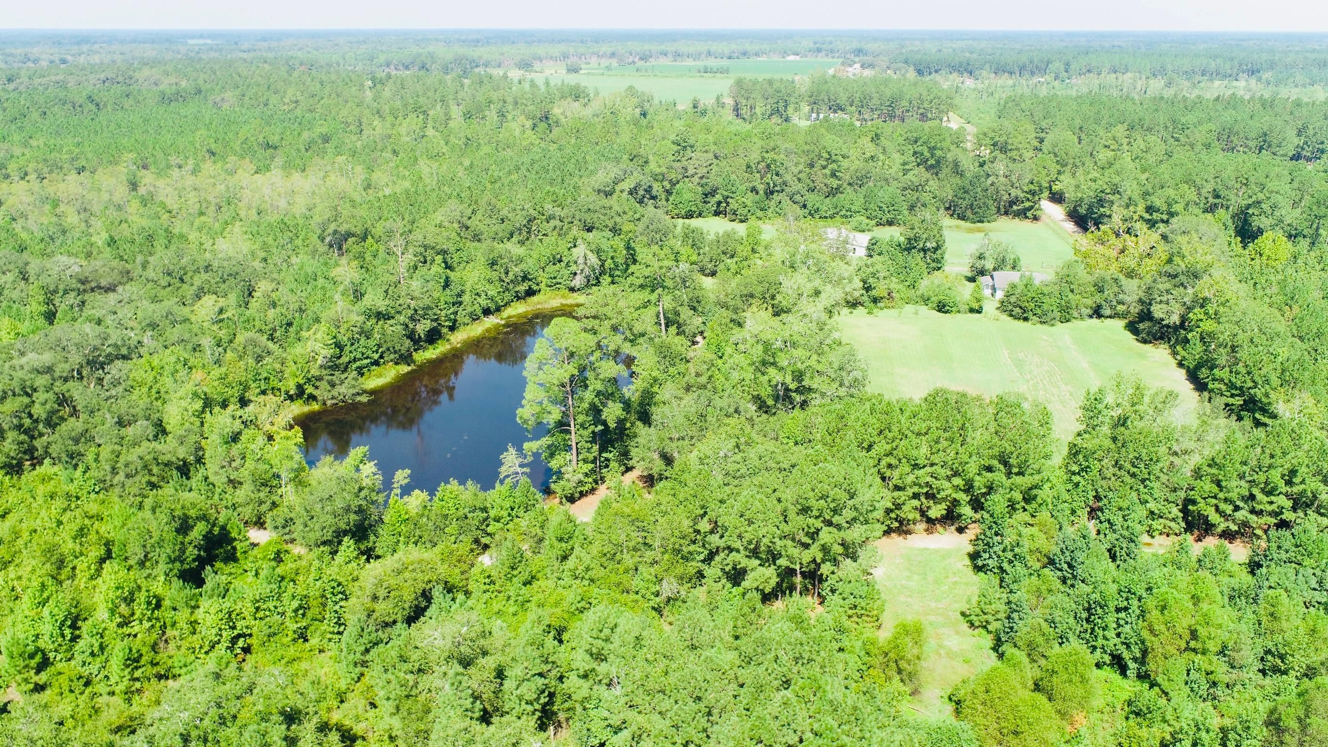 410 acres in Bulloch County, Georgia