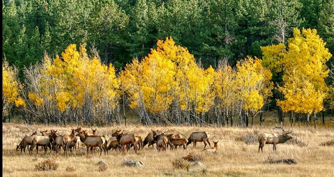 TBD Buckhorn Mountain Ranch, Montrose, CO 81403 | Land.com