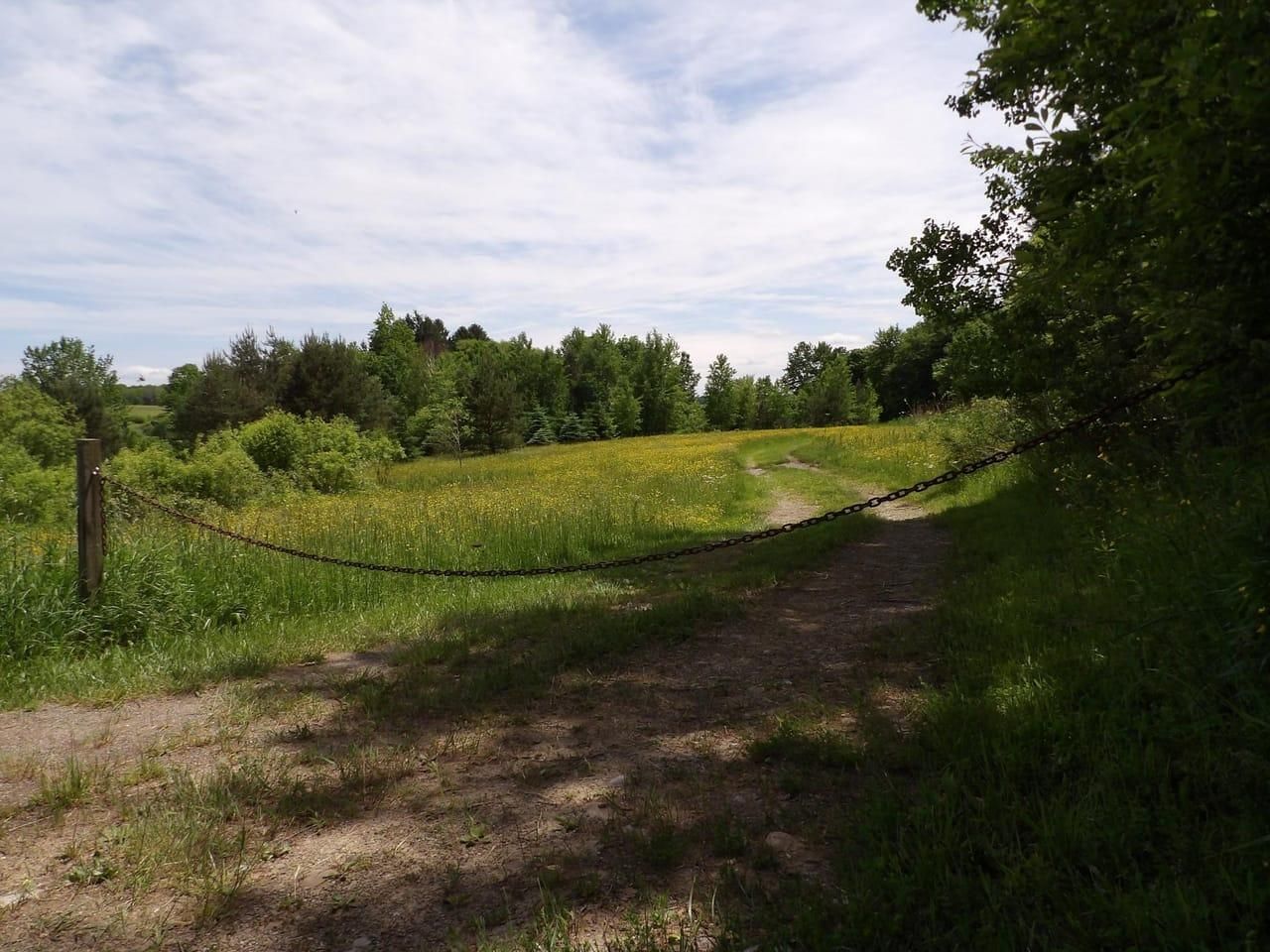 Sherman Stedman Road, Sherman, NY 14781 | Land.com