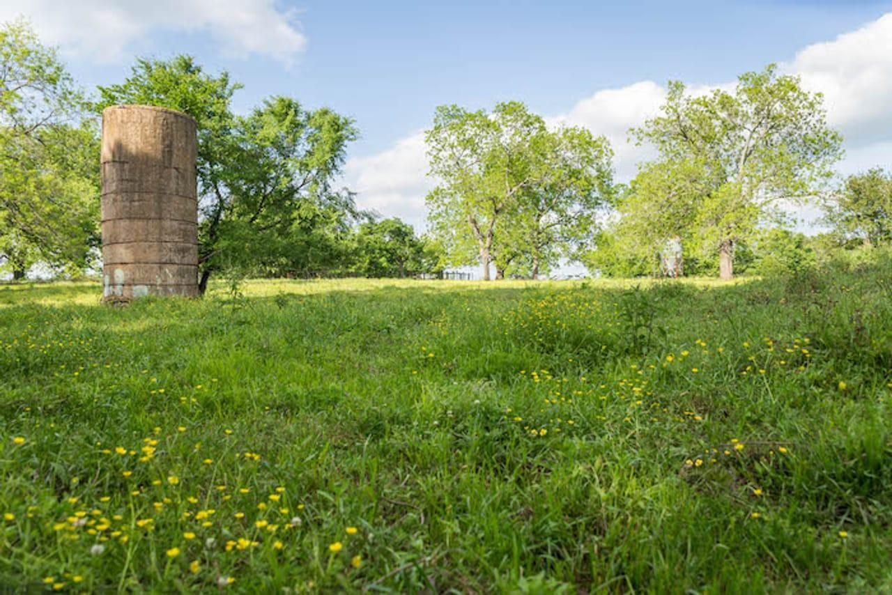 113 acres in Leesburg, TX, 75451 | Land.com