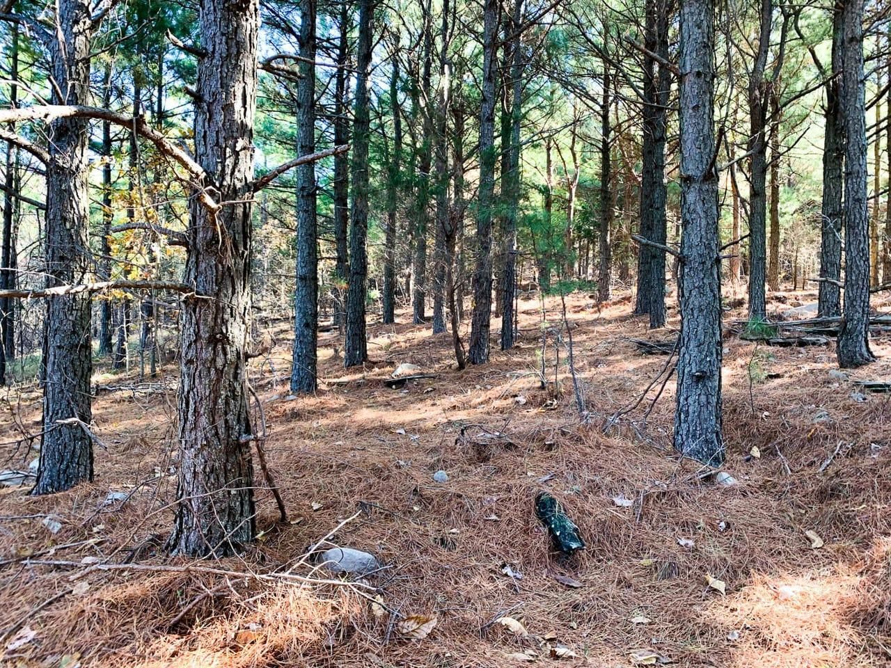 110 acres in Pushmataha County, Oklahoma