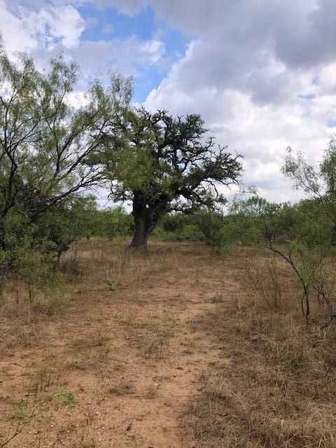 CR 409, San Saba, TX 76877 | Land.com