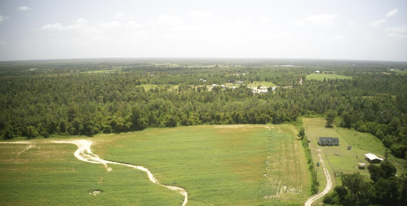 40 acres in Calhoun County, Florida