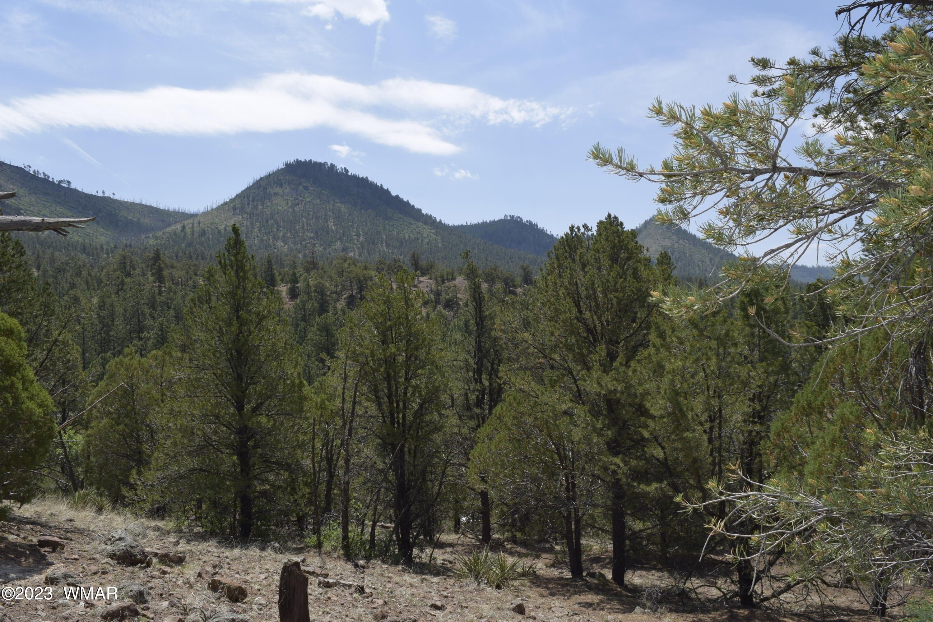 TBD CR 2276, Nutrioso, AZ 85932 | MLS: 248080 | Land.com