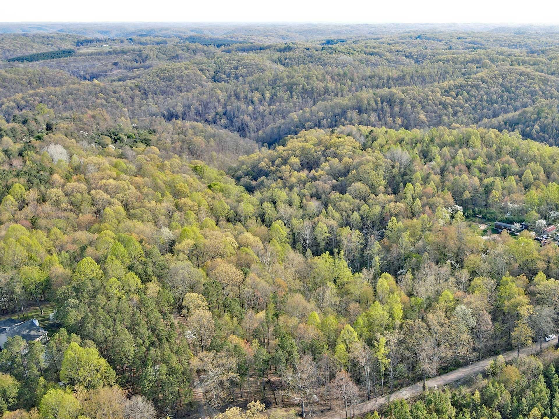 Tennant Rd, Ray, OH 45672 | Land.com