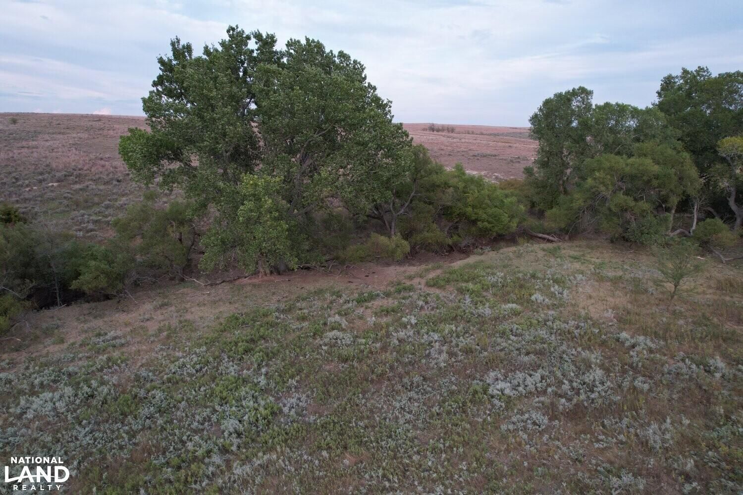 480 acres in Ellis County, Oklahoma