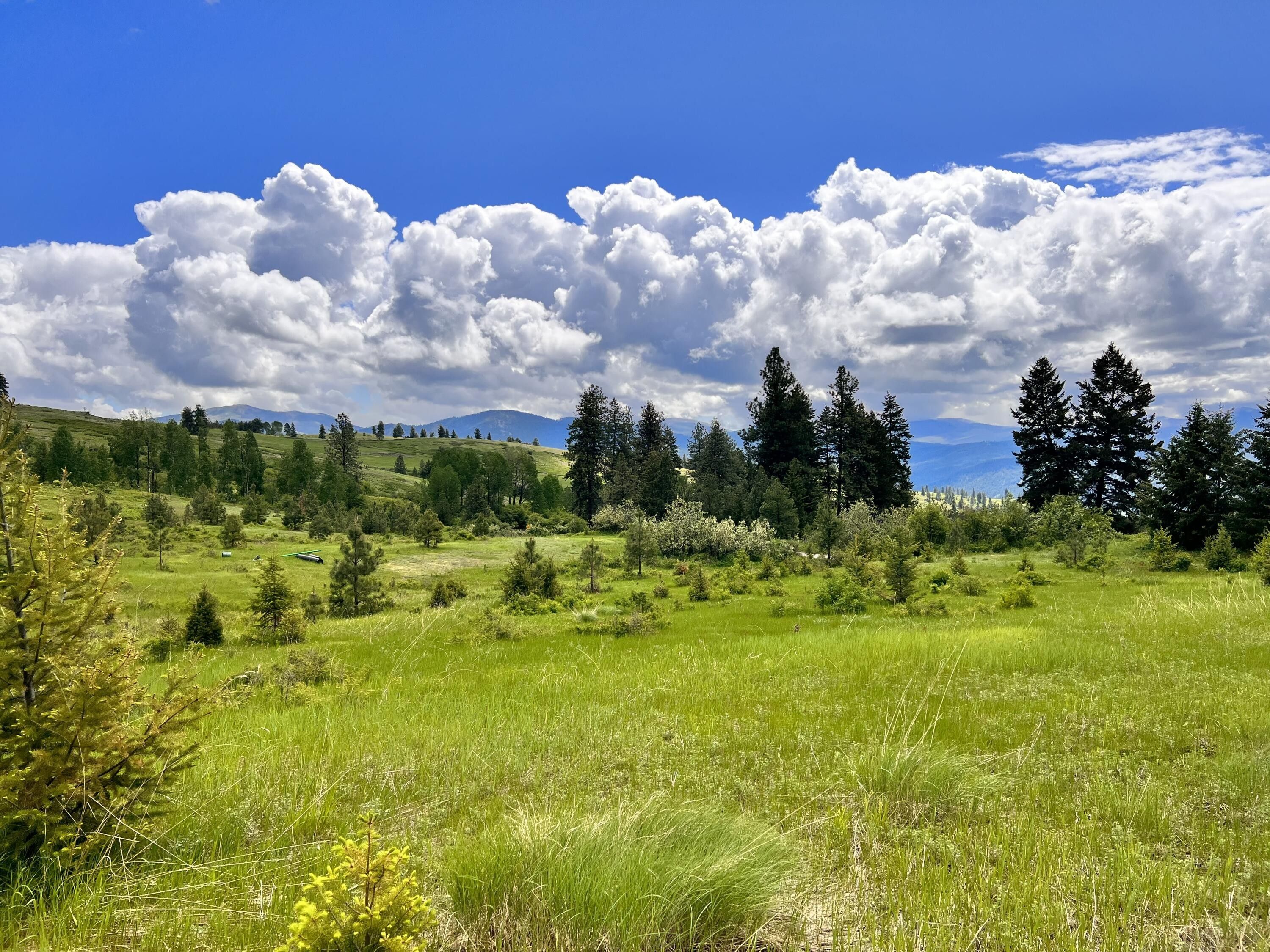 11.82 acres in Ferry County, Washington