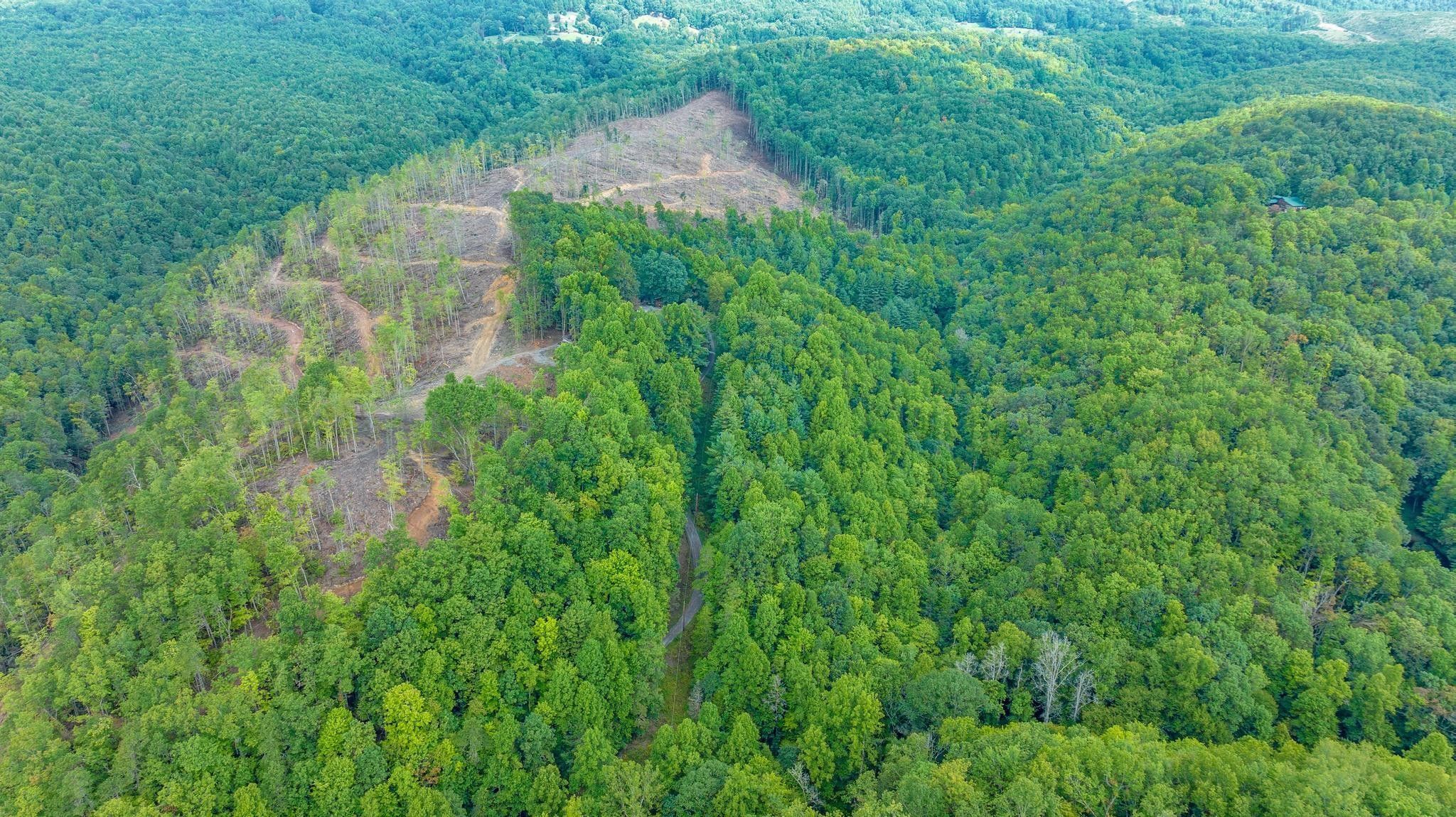 37.5 acres in Lee County, Virginia