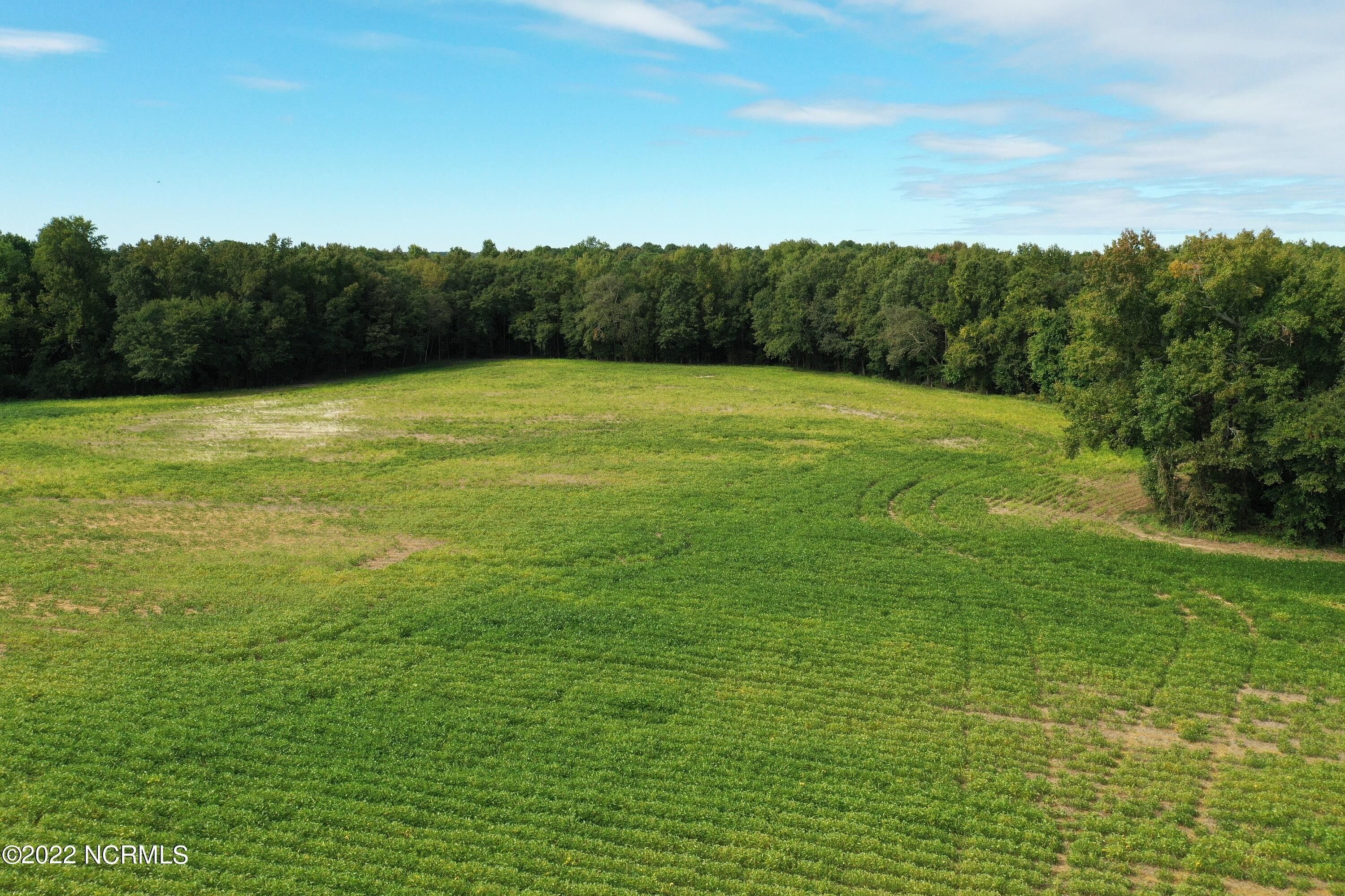 9.3 acres in Wayne County, North Carolina