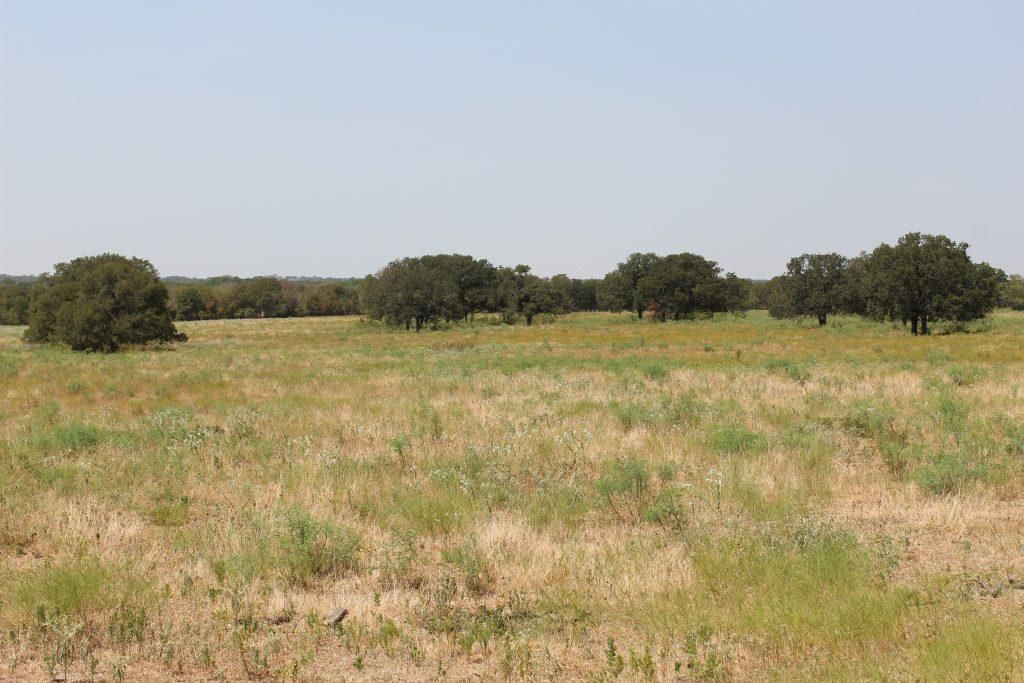 5789 Fm 1245, Groesbeck, TX 76642 | Land.com