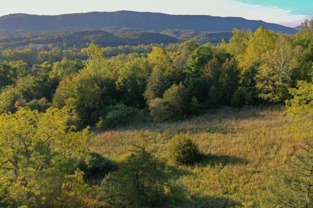 53.11 acres in Rockingham County, Virginia