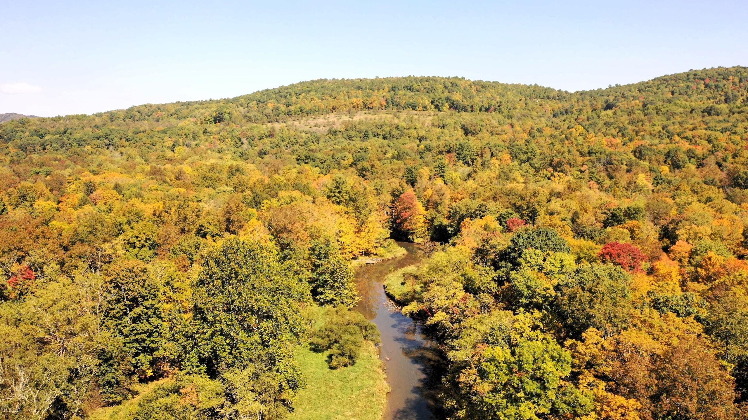 Route 36, Lot#WP001, Westover, PA 16692 | Land.com