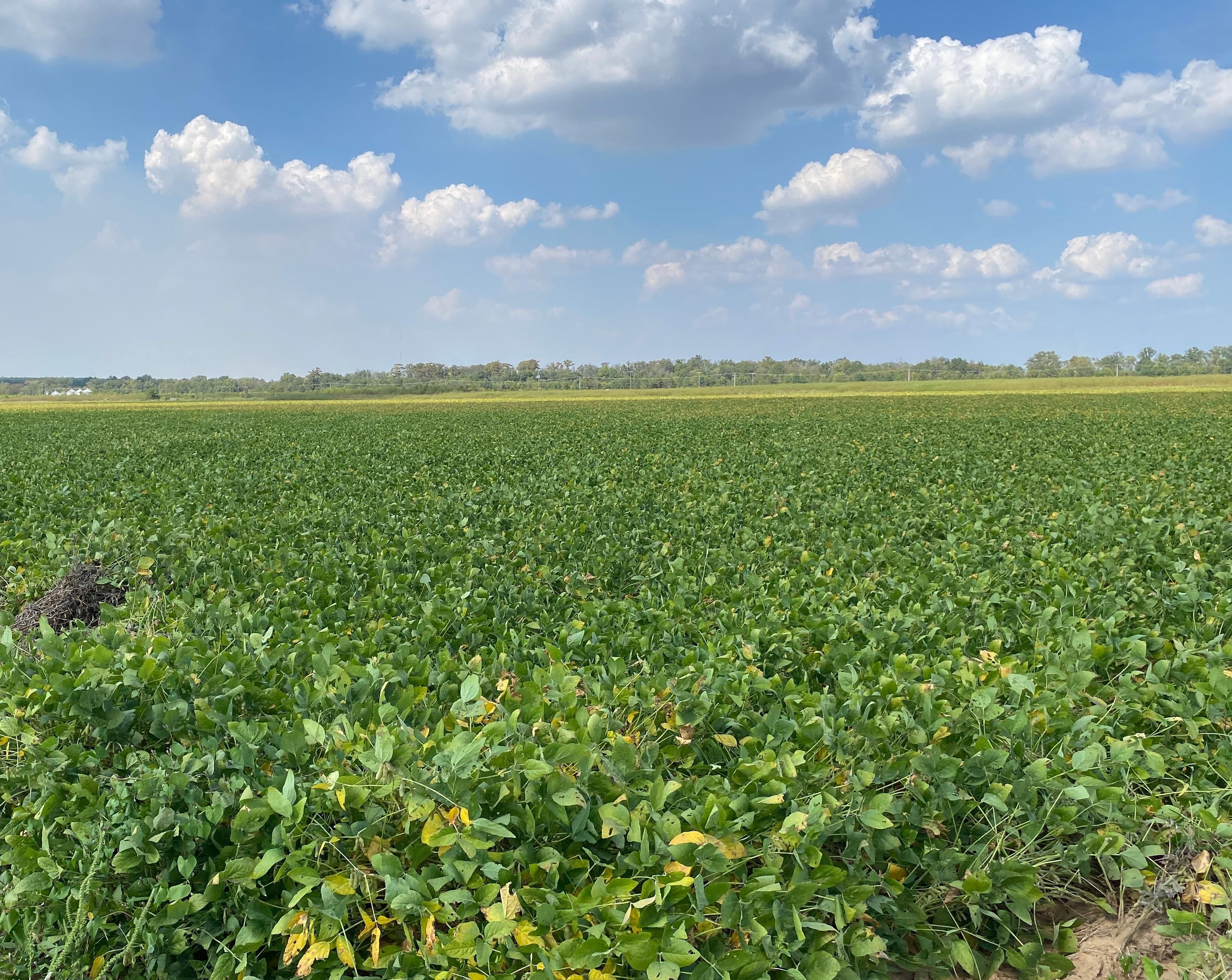 86 acres in Humnoke, AR, 72072 | Land.com