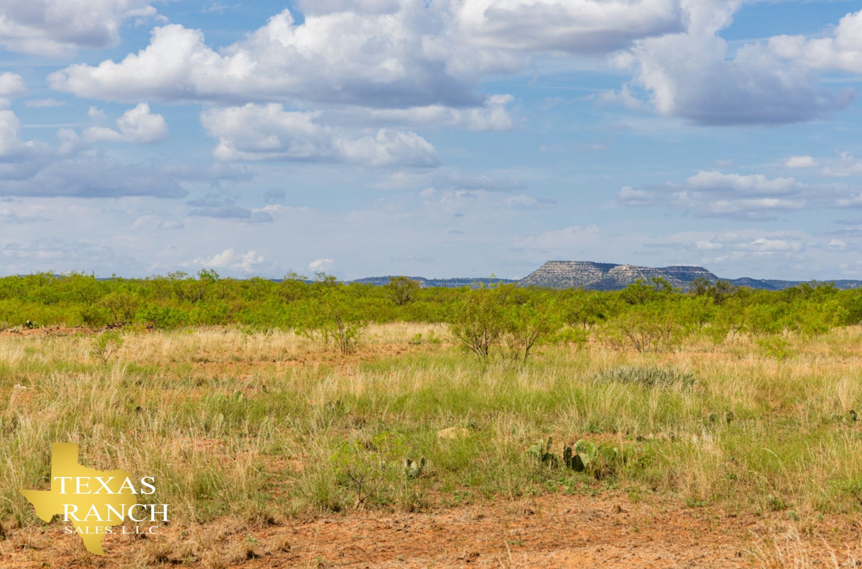 110 acres in Bronte, TX, 76933 | Land.com