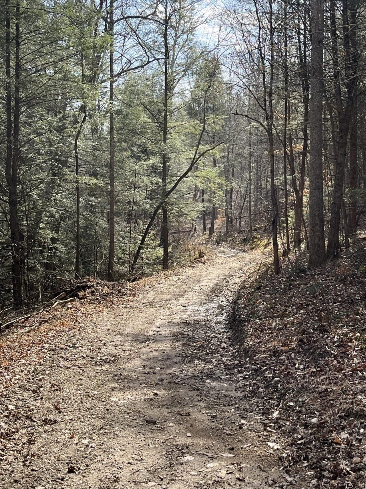 000 Stringtown off Hwy 32, Sandy Hook, KY 41170 | Land.com