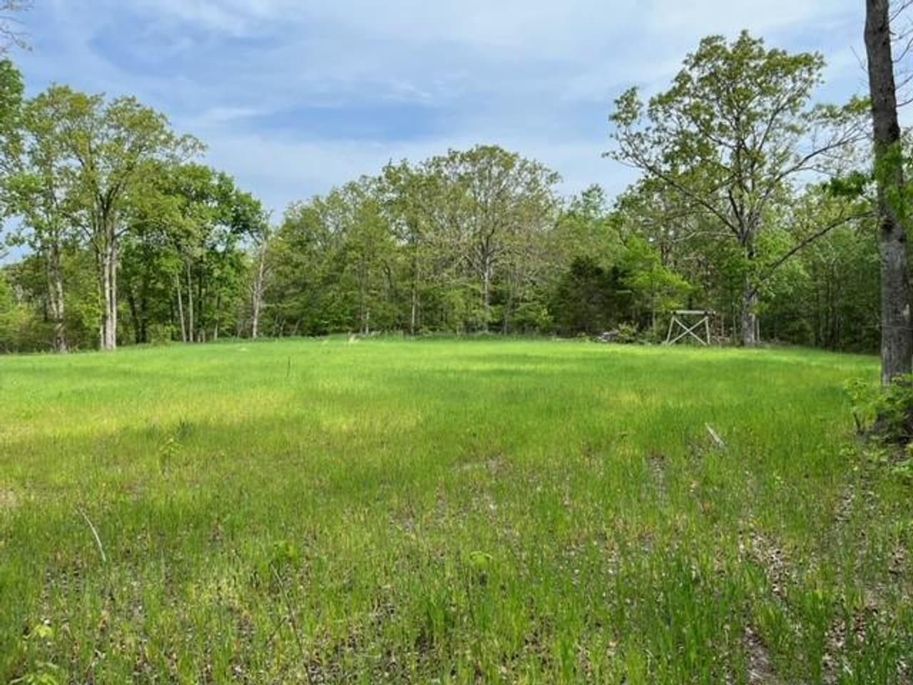 180 acres in Texas County, Missouri