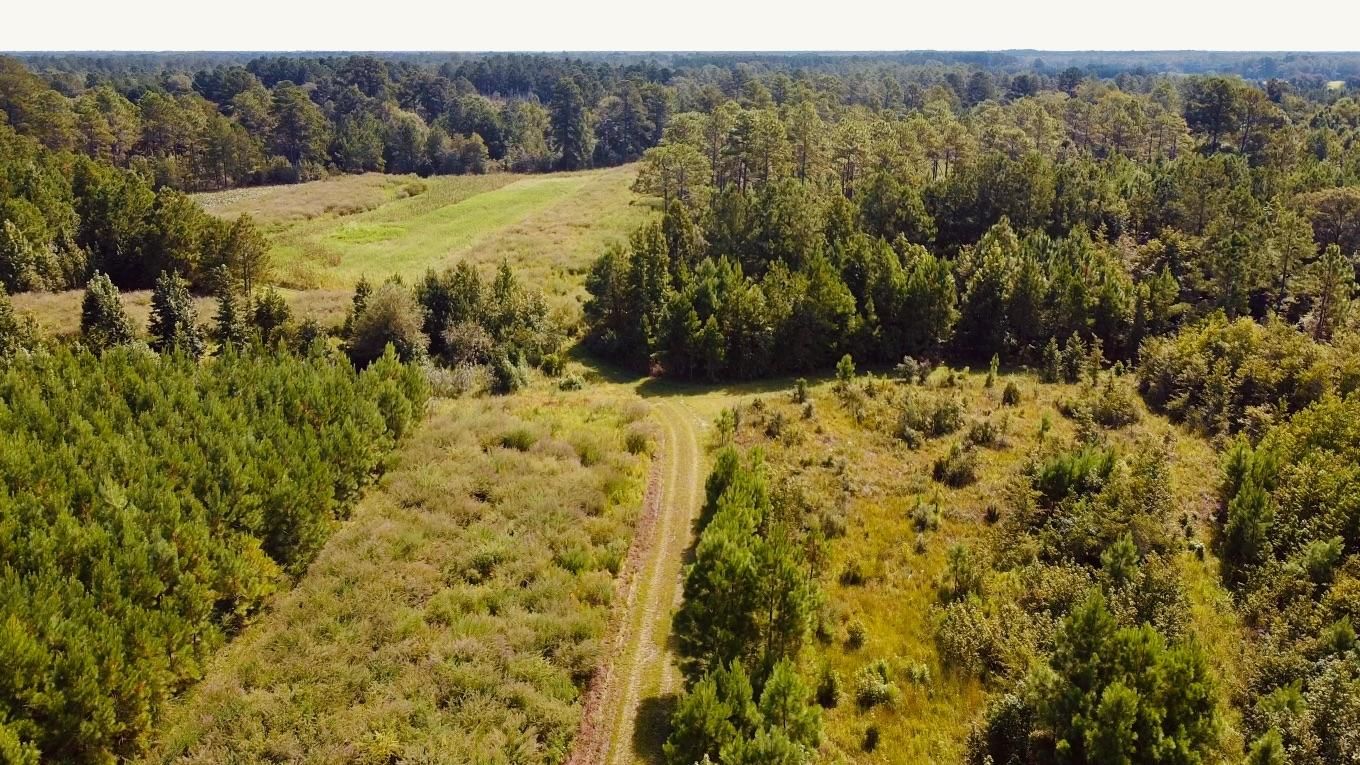 167.9 acres in Garnett, SC, 29922 | Land.com