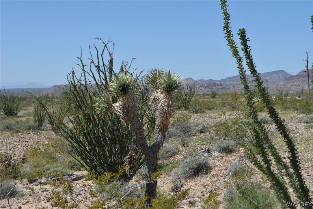 4.2 acres in Mohave County, Arizona