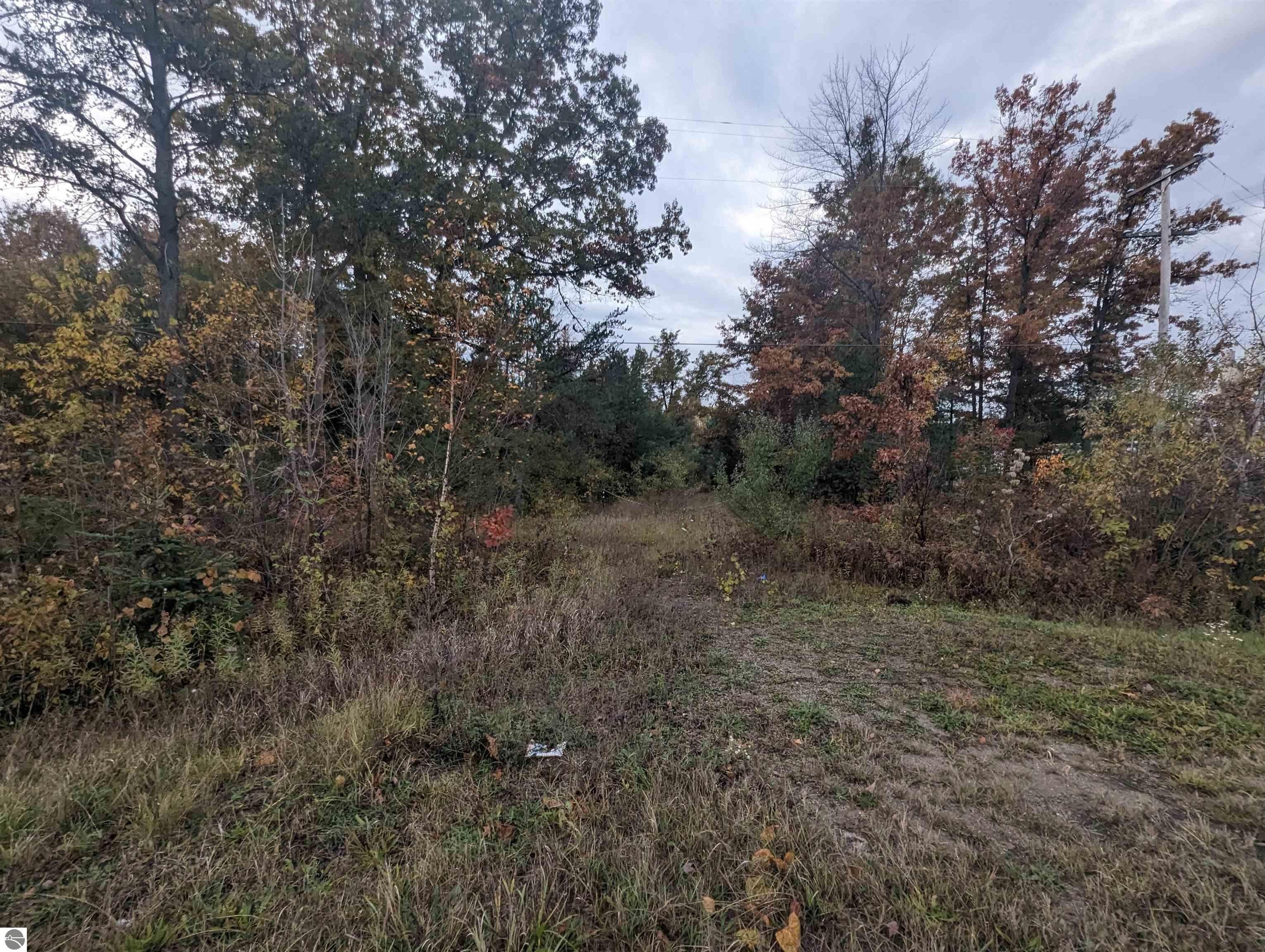 577 Acres In Arenac County Michigan