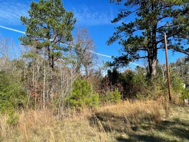 27.5 Acres, Copiah County, MS, Hazlehurst, MS 39083 | Land.com