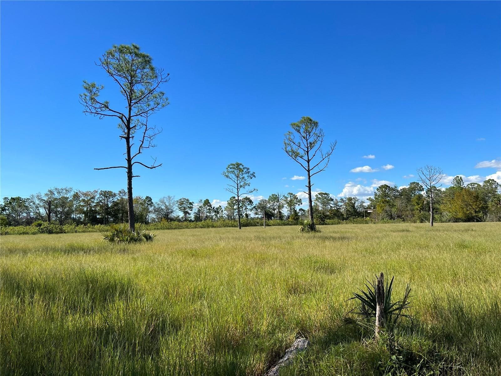 3570 Magnolia Trce, Labelle, FL 33935 | Land.com