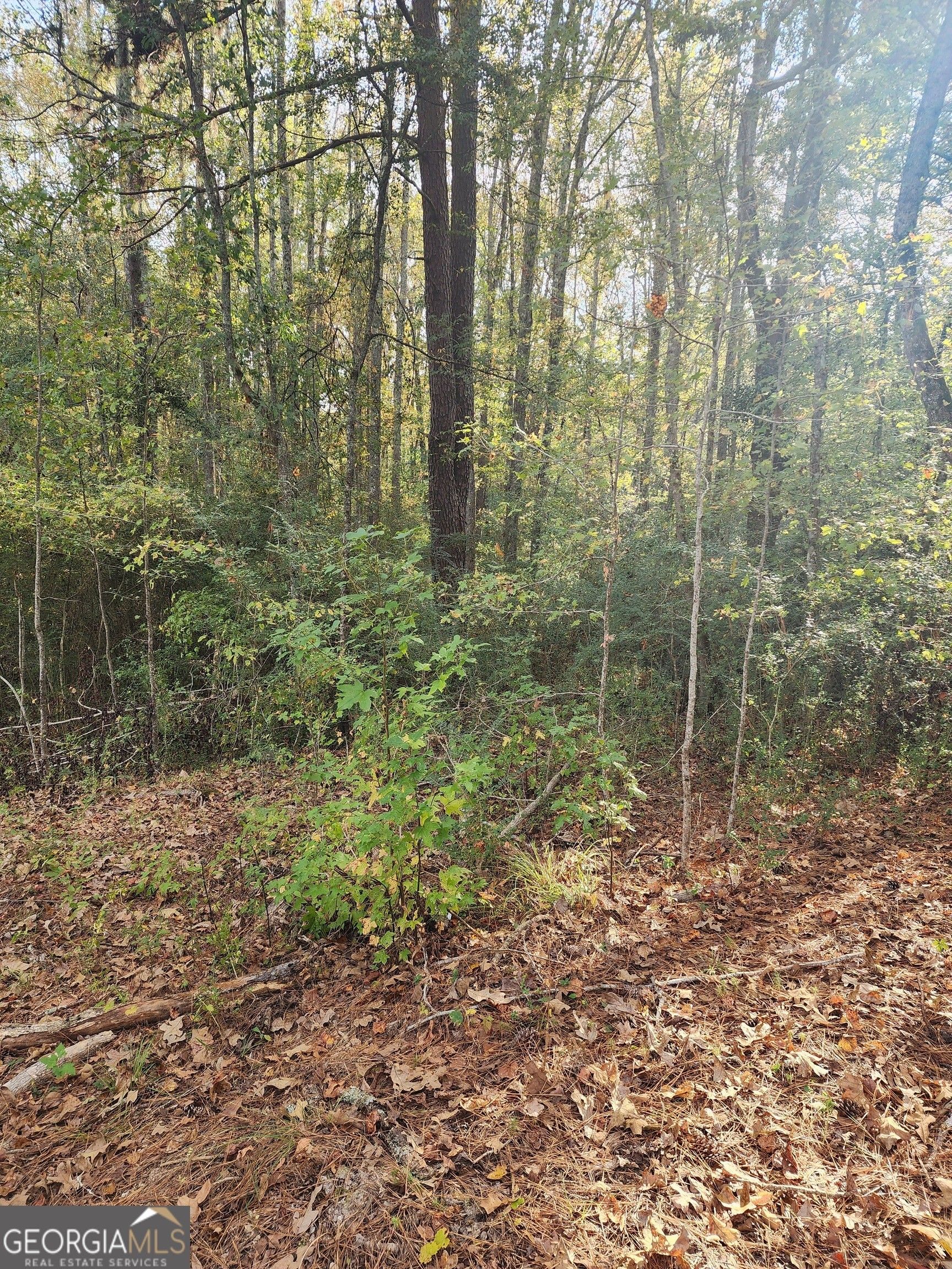 8.81 acres in Pike County, Georgia