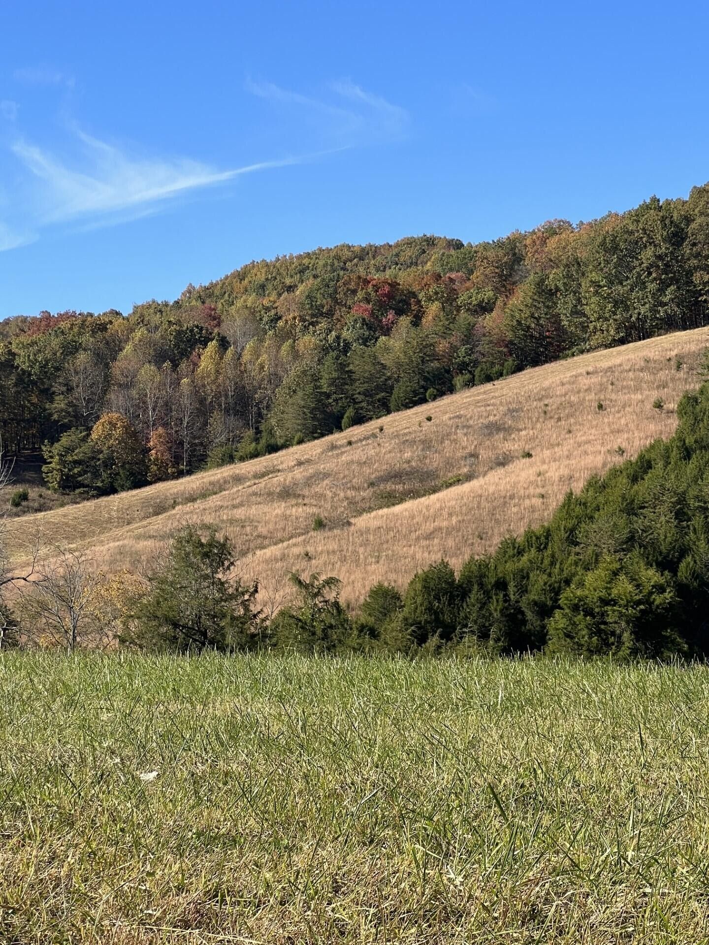 58 acres in Scott County, Virginia