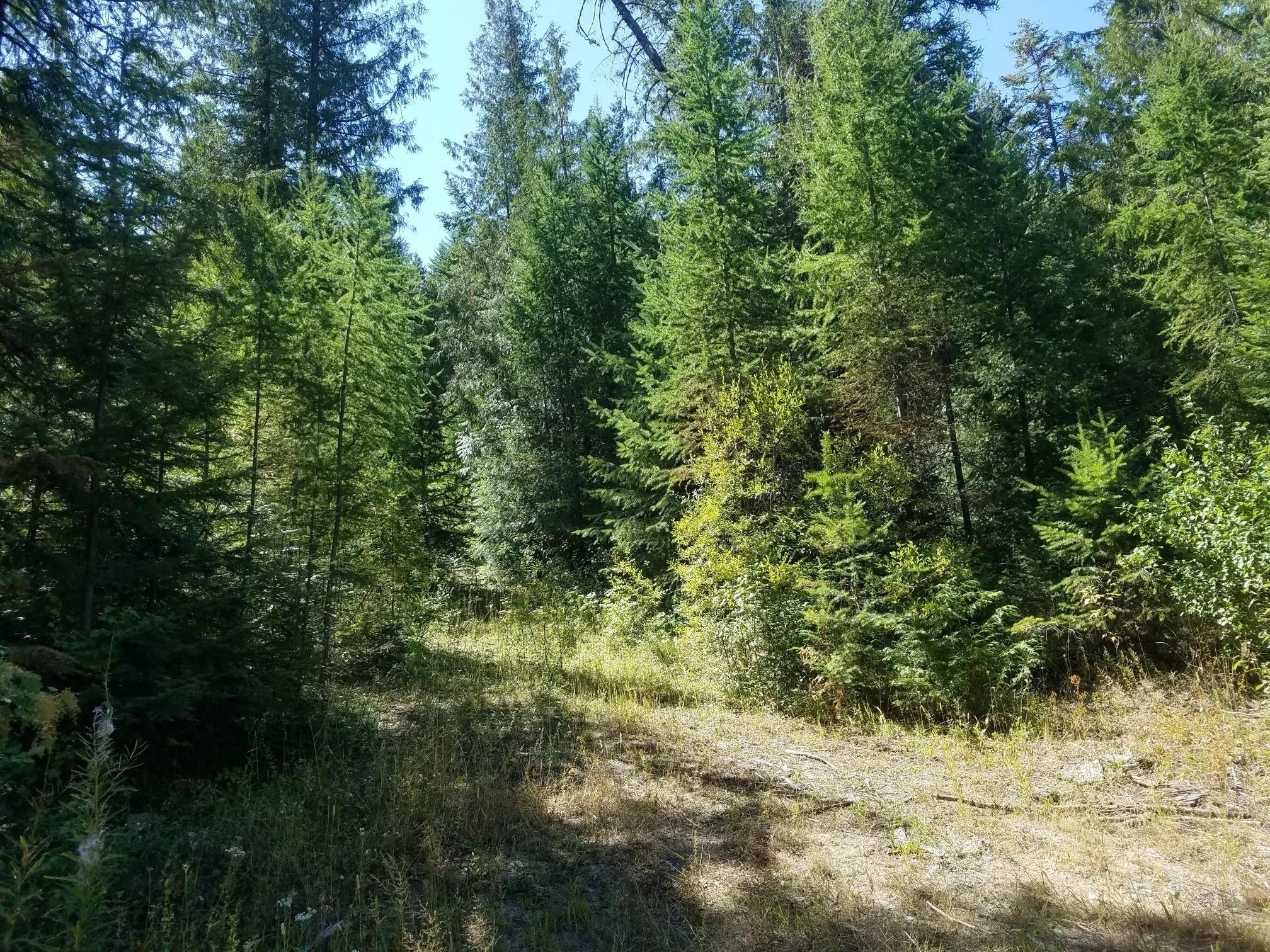 XX SUMMIT VALLEY RD, Addy, WA 99101 | MLS: 42908 | Land.com