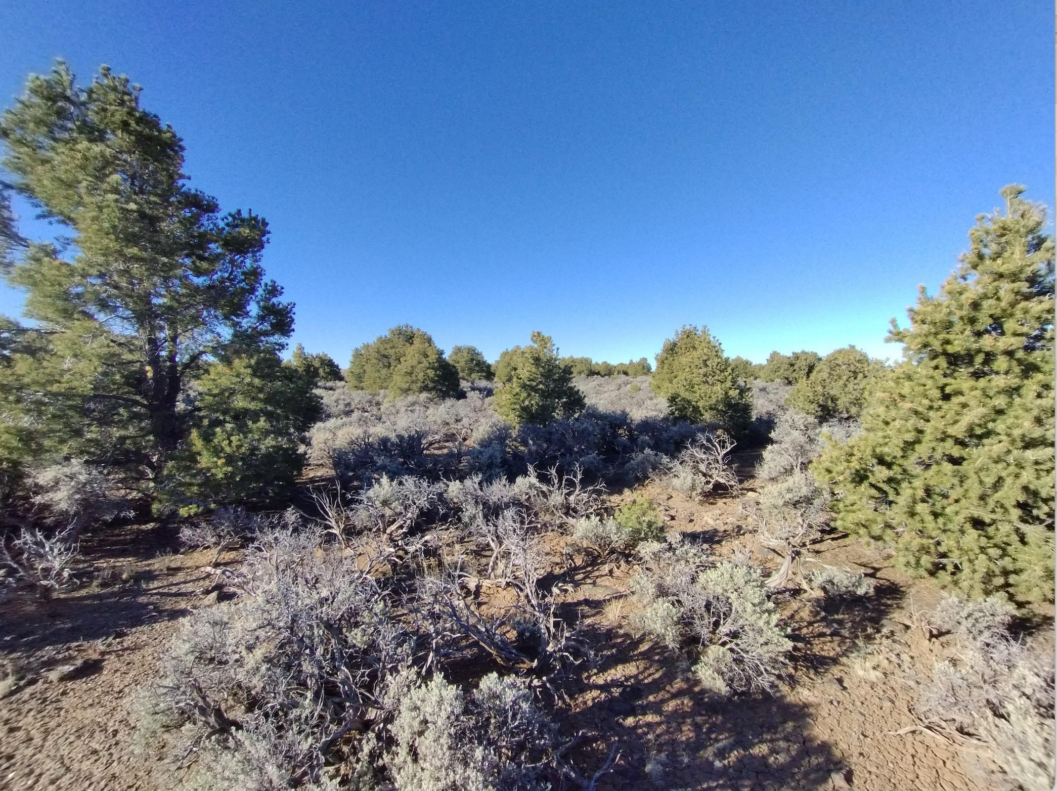 40.9 acres in Costilla County, Colorado