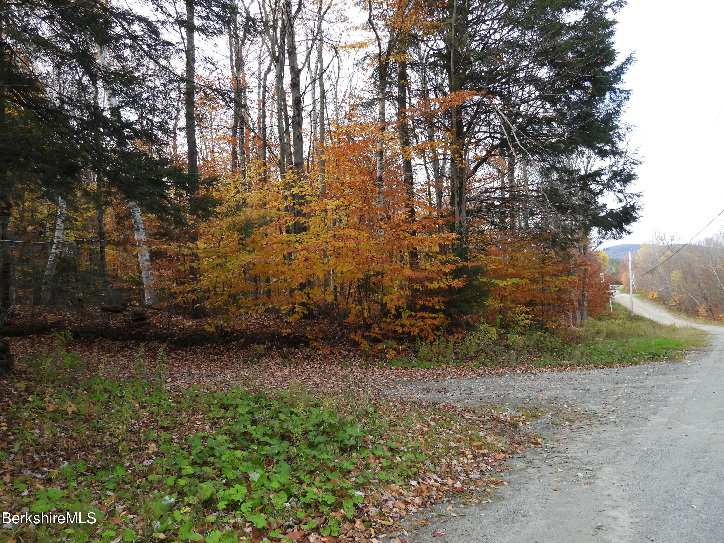 20.3 acres in Bennington County, Vermont